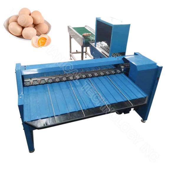 304 Stainless Steel Chicken Egg Grading Machine Price By Weight Egg Weight Classify Sorter