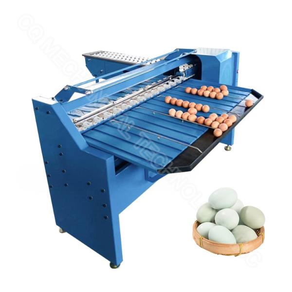 304 Stainless Steel Chicken Egg Grading Machine Price By Weight Egg Weight Classify Sorter