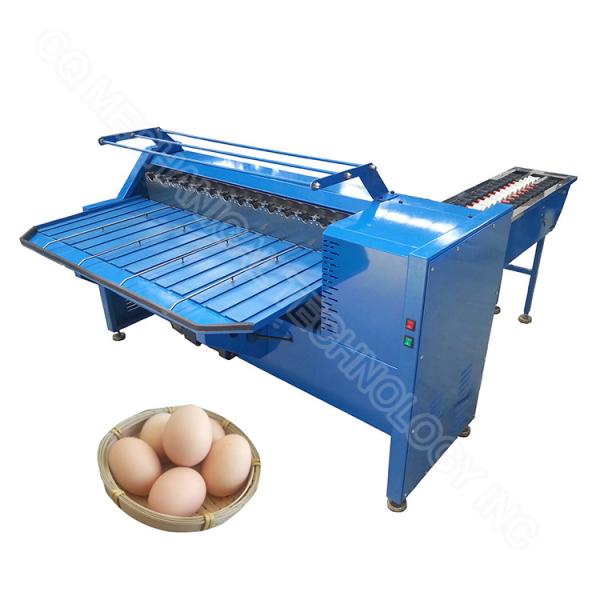 304 Stainless Steel Chicken Egg Grading Machine Price By Weight Egg Weight Classify Sorter