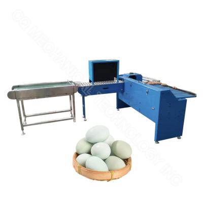 China Egg Processing Machinery Egg Sorter Egg Sorter Machine Egg Grading Machine Sorter for sale