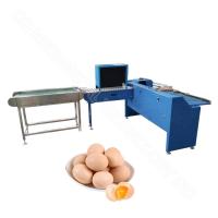 China Egg Classification Machine Egg Grader Machine Egg Sorting Weight Sizing  4000/5400pcs/H for sale