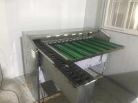 China Egg Sorting And Washing Machine Egg Sorter Machine Egg Grader Machine for sale
