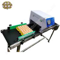 China High Speed Expiry Date Egg Printing Machine Chicken Large Egg Coding Machine 48500 Eggs/H for sale