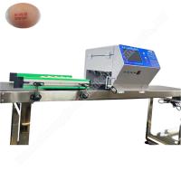 China High Speed Expiry Date Egg Printing Machine Chicken Large Egg Coding Machine 48500 Eggs/H for sale