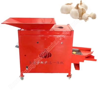 China Máquina de separación de ajo seco industrial con función de clasificación 800-1000 kg/h en venta