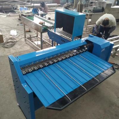 China 닭고기 달걀 분류 기계 달걀 크기 분류 기계 기본 달걀 분류 기계 for sale