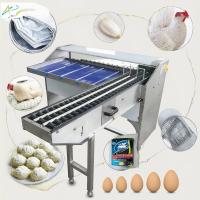 China 304 Stainless Steel Chicken Egg Sorting Machine Egg Size Sorting Machine 4000pcs/H for sale