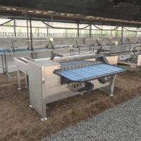 China Egg Grading Sorting Machine Egg Sorting Machine 10000 Pcs Automatic Egg Sorter for sale