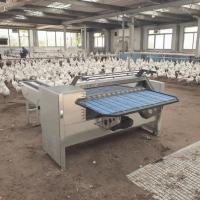 China Egg Sorting Machine For Hatchery Eggs Sorting Machine With Stamping Egg Grading Machine For Sale for sale