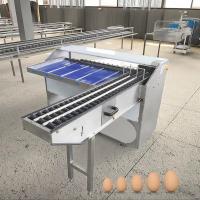 China Egg Sorting Machine For Hatchery Eggs Sorting Machine With Stamping Egg Grading Machine For Sale for sale