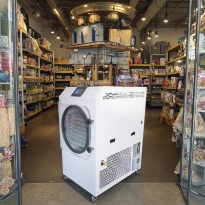 China Commercial Food Freeze Drying Equipment Vacuum Lyophilizer Freeze Dryer Machine for sale