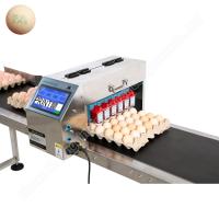 China Chicken Egg Printer Printing Machine  Ink Jet Printer Eggs Machine Egg Date Printer for sale