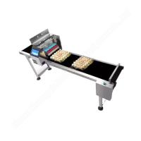 China Automatic Egg Coding Machine Inject Printing Machine Small For Eggs Expiry Date Printing Machine for sale