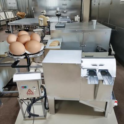 Máquina de lavar roupa de limpeza de frango tipo aço Máquina de lavar roupa de escova de ovos de pato