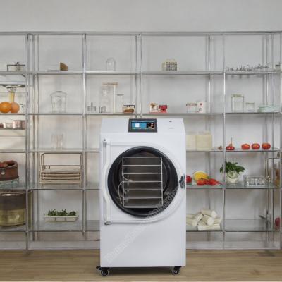 China Vacuum Freeze Dryer Lyophilizer Machine Household Freeze Dryers Lab Freeze Dryer for sale