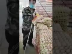 단일 손잡이 알 진공 리퍼 30 알 알 흡수 리퍼 기계