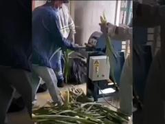 Machine d'extraction automatique de fibres décorticées de fibres d'ananas
