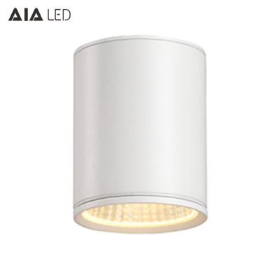 China IP65 waterproof surface mounted downlight 60W DALI dimmable exterior led down light &exterior downlight for sale