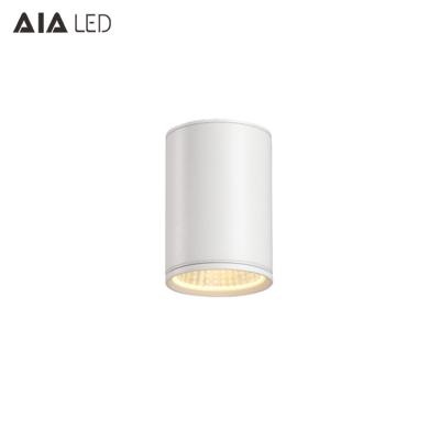 China IP65 waterproof circular DALI dimmable outdoor downlight 12W 0-10V dimmable exterior down light &outside downlight for sale