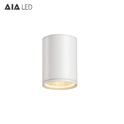 China IP65 waterproof round DALI dimmable downlight 18W 0-10V dimmable outdoor led down light &outside downlight for sale