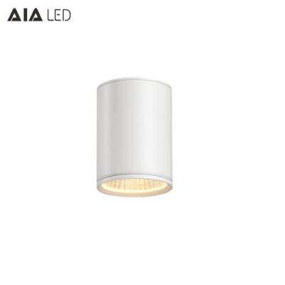 China IP65 impermeabilizan la lámpara montada superficie del downlight&outdoor LED de la MAZORCA LED del cilindro 15W abajo en venta