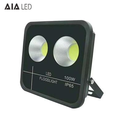 China Modern luminaire rainproof IP66 led flood light COB 100W LED Floodlight fixture for garden for sale