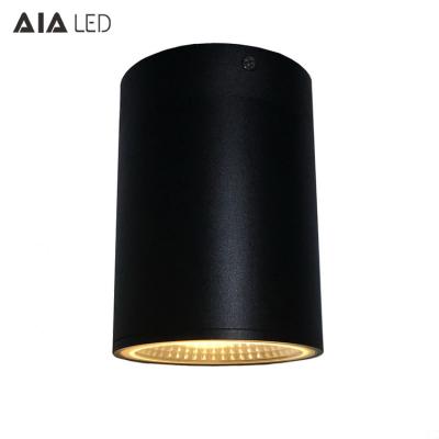 China El downlight&outdoor dimmable LED de la MAZORCA 40W LED de DALI de la ronda impermeable IP65 abajo se enciende en venta