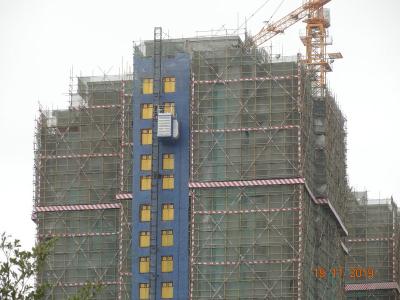 中国 EN 12159は2012 2500KG棚及びピニオンの人員システムを高く上げます 販売のため