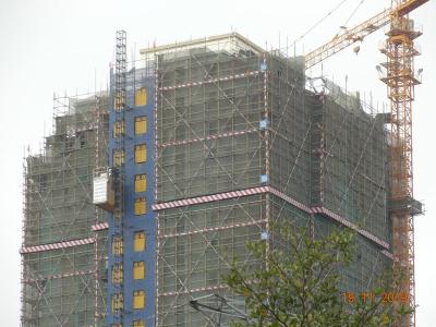 中国 鋼鉄棚及びピニオン1トンの乗客および物質的な起重機 販売のため