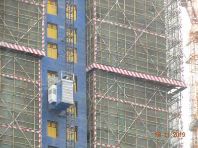 中国 リモート・コントロール高いタワー250mの乗客および物質的な起重機 販売のため