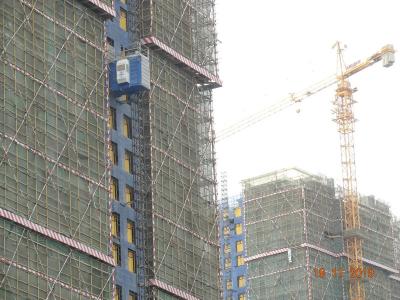 中国 3200のKgのラック・ピニオンの乗客および物質的な起重機 販売のため