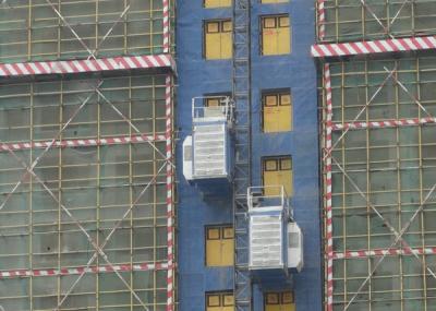 Cina Passeggero di protezione contro le sovratensioni 3000kg e gru materiale in vendita