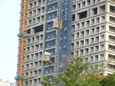 Cina 46 m./gru modulare minima della cremagliera del passeggero in vendita