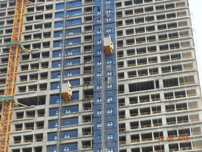 Cina Gru della cremagliera del cantiere 3000Kg in vendita