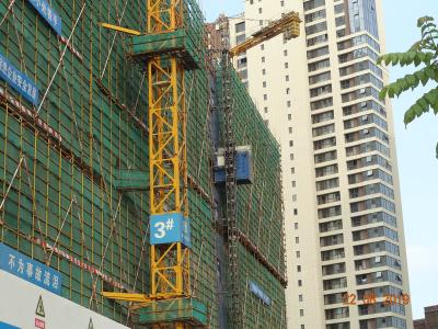 Китай Подъем механизма реечной передачи строительной площадки 3000Кг продается