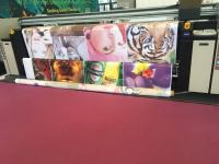 China Large Format Epson Head Printer High Resolution Textile / Fabric Printing Machine For Flags for sale