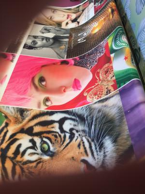 China 100% Polyster Digital Printing Fabric Tatting Weave Sublimation Coating for sale
