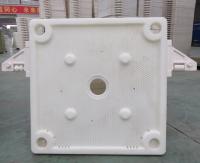 China High Pressure Reinforced Polypropylene Filter Plates PP Filter Plate for sale