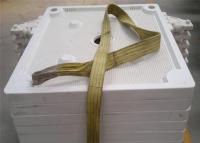 China Polypropylene Recessed Filter Press Plate PP Filter Plates for sale