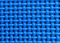 China Drying Polyester Mesh Conveyor Belt for sale