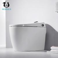China Luxury Smart Intelligent Toilet Multi Function Auto Flush 410x505x680mm S Trap for sale