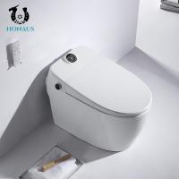 China Luxury Smart Intelligent Toilet Multi Function Auto Flush 410x505x680mm S Trap for sale