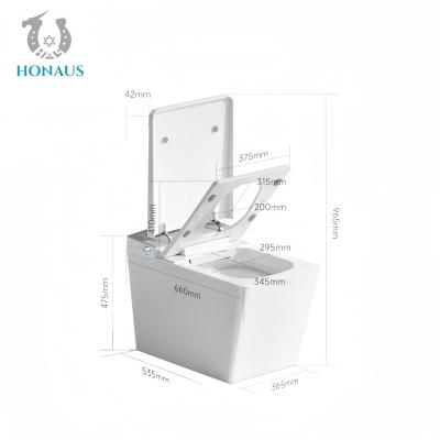 China Rectangular Smart Intelligent Toilet Keramisch nachtlicht Multi Washes Automatisch spoelen Te koop