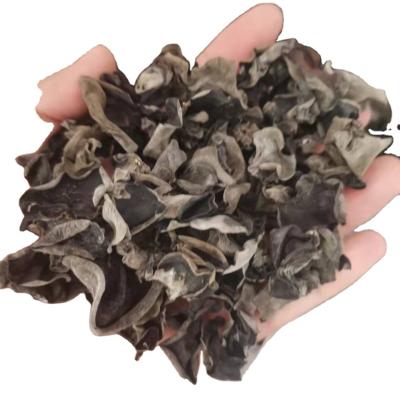 China Wholesale  Bulk India Morocco Organic High Quality Dried Black  Fungus for sale