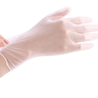 China White Blue OEM Sushi PE TPE Disposable Vinyl Gloves for sale
