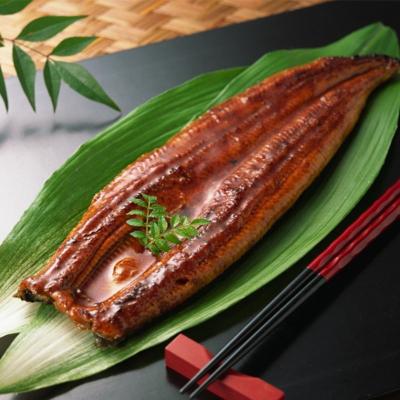 China Customized Unagi Japanese Technique Dried Roasted Frozen Eel Vacuum Packed Somked Unagi Roasted Eel Fish for sale