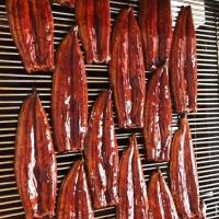 China Wholesale Frozen Roasted Unagi Eel for sale