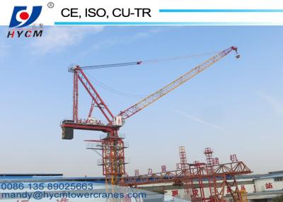 China 8t Building Luffing Tower Crane D3025 Model 30m Jib Length 2.5t End Load for sale