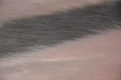 Cina Il colore che si scontra la pelliccia lunga di falsificazione dei capelli del tessuto 150cm della peluche, porta il tocco e la comodità ineguagliabili in vendita