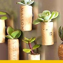 Art &amp;amp;amp; Crafts, DIY